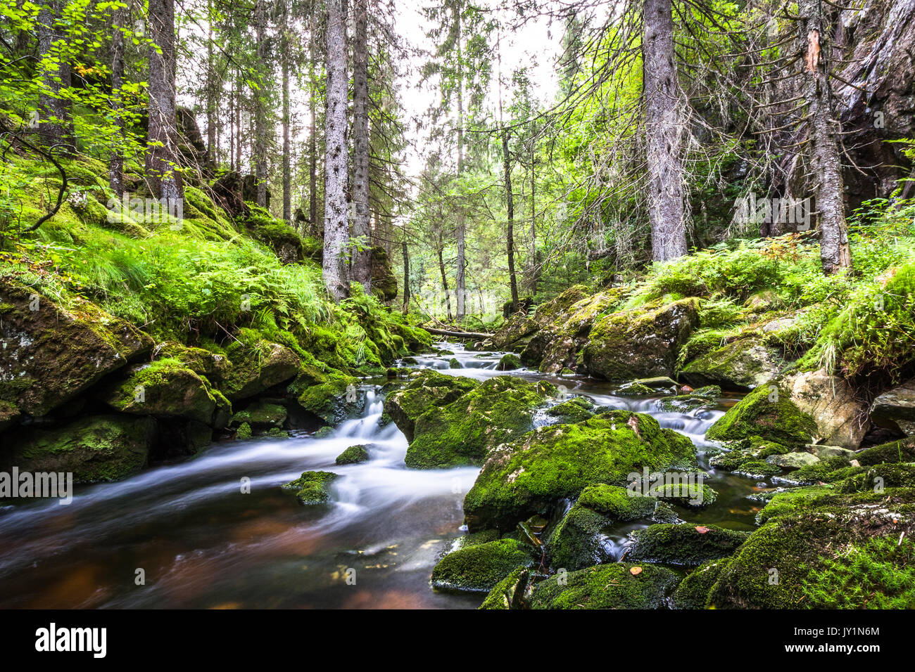 Water flow in a stream, long exposure Stock Photo - Alamy