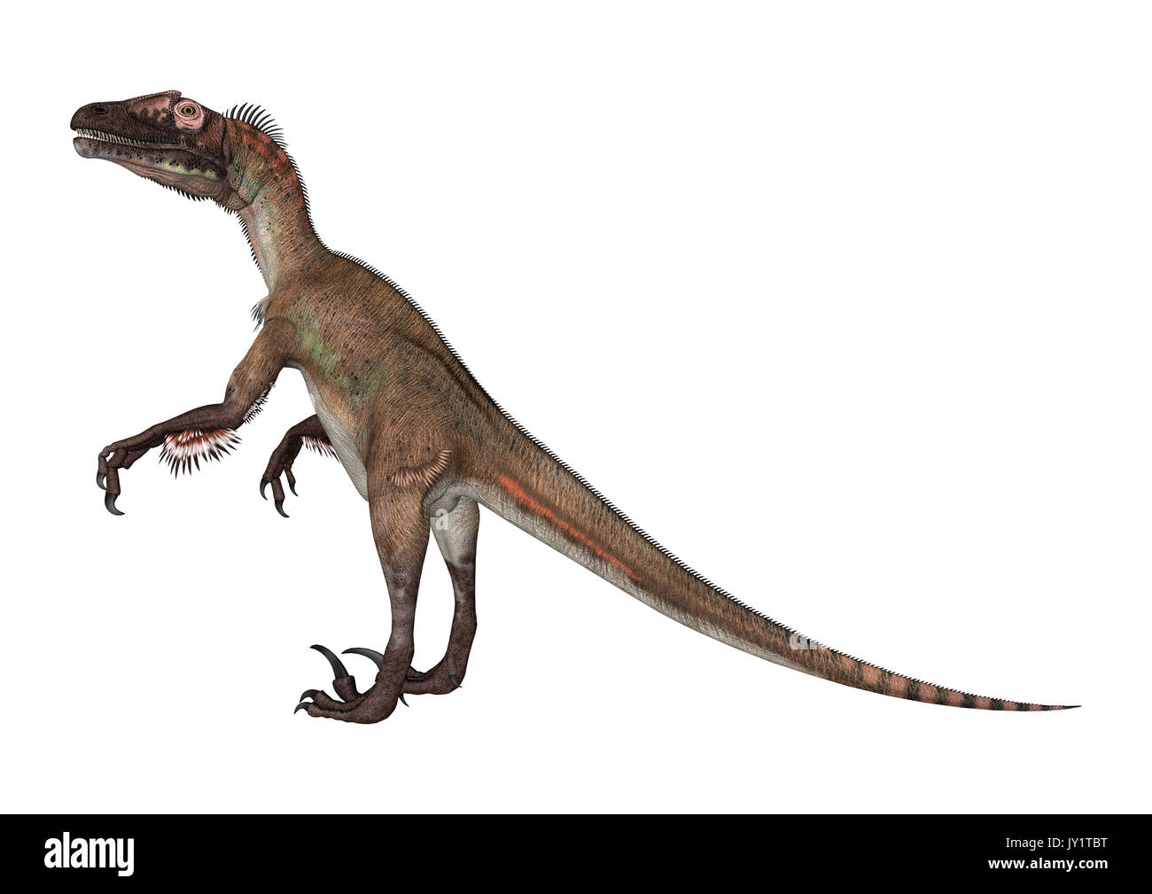 3D rendering of a dinosaur utahraptor isolated on white background ...