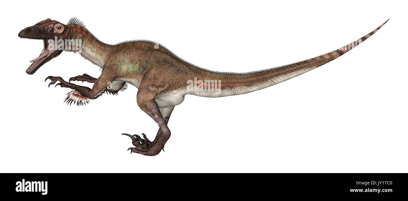 3D rendering of a dinosaur utahraptor isolated on white background ...