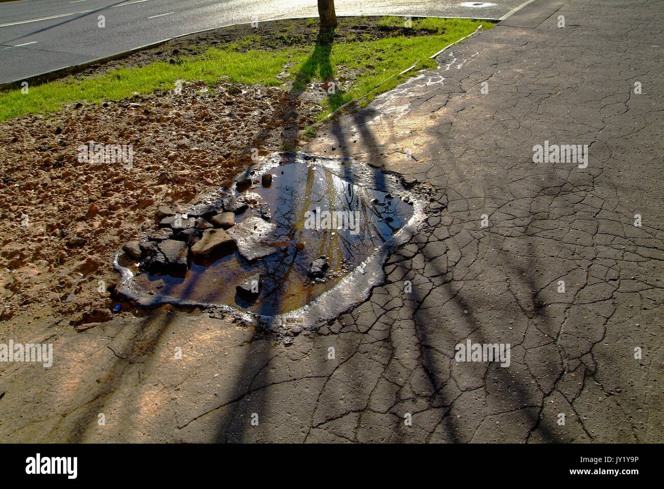 shadows from trees in the spring at the sidewalk, district Teply Stan ...