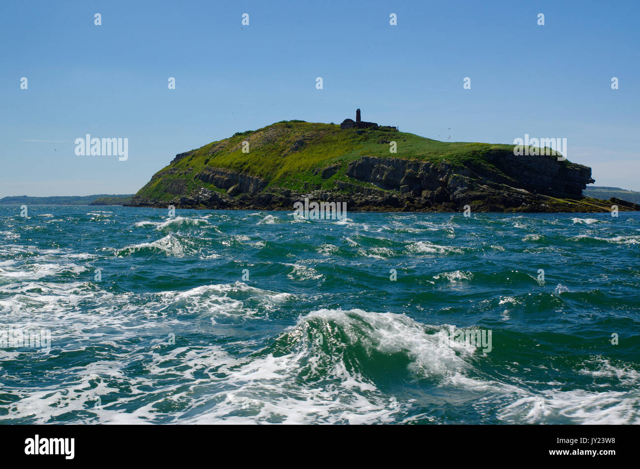 Puffin island hi-res stock photography and images - Alamy