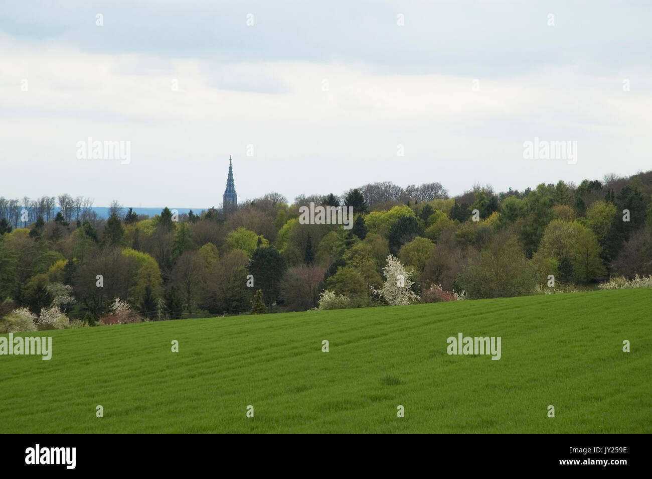Ulm germany hi-res stock photography and images - Alamy