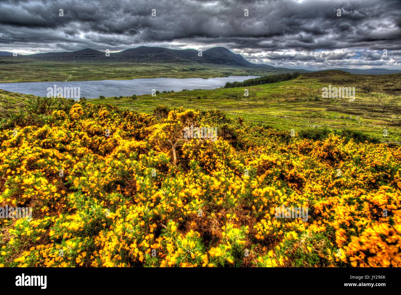 Area of Altnaharra, Scotland. Picturesque view of Loch Naver with Ben ...
