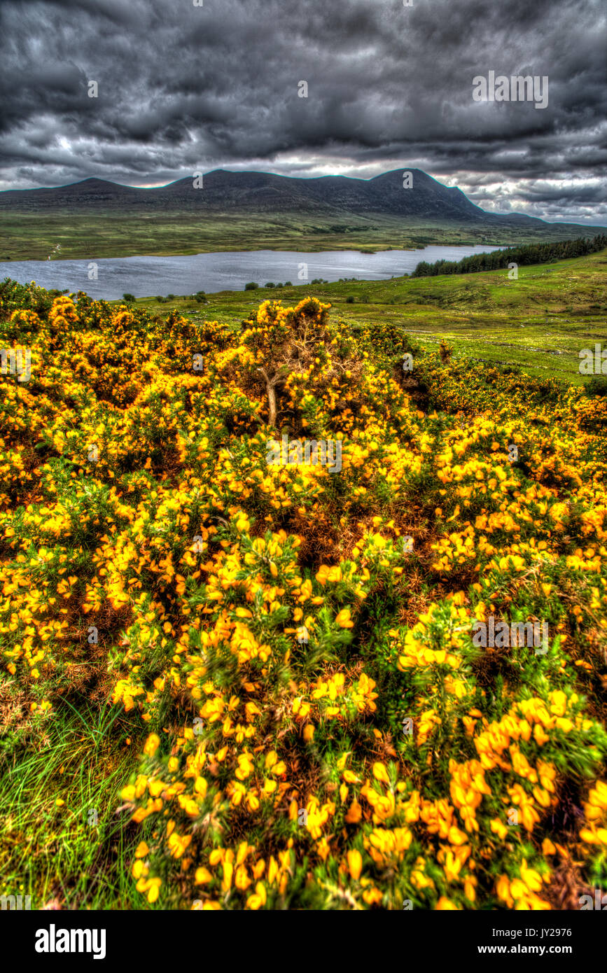 Area of Altnaharra, Scotland. Picturesque view of Loch Naver with Ben ...