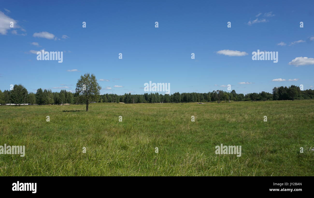 Russia Countryside home and animals Stock Photo - Alamy