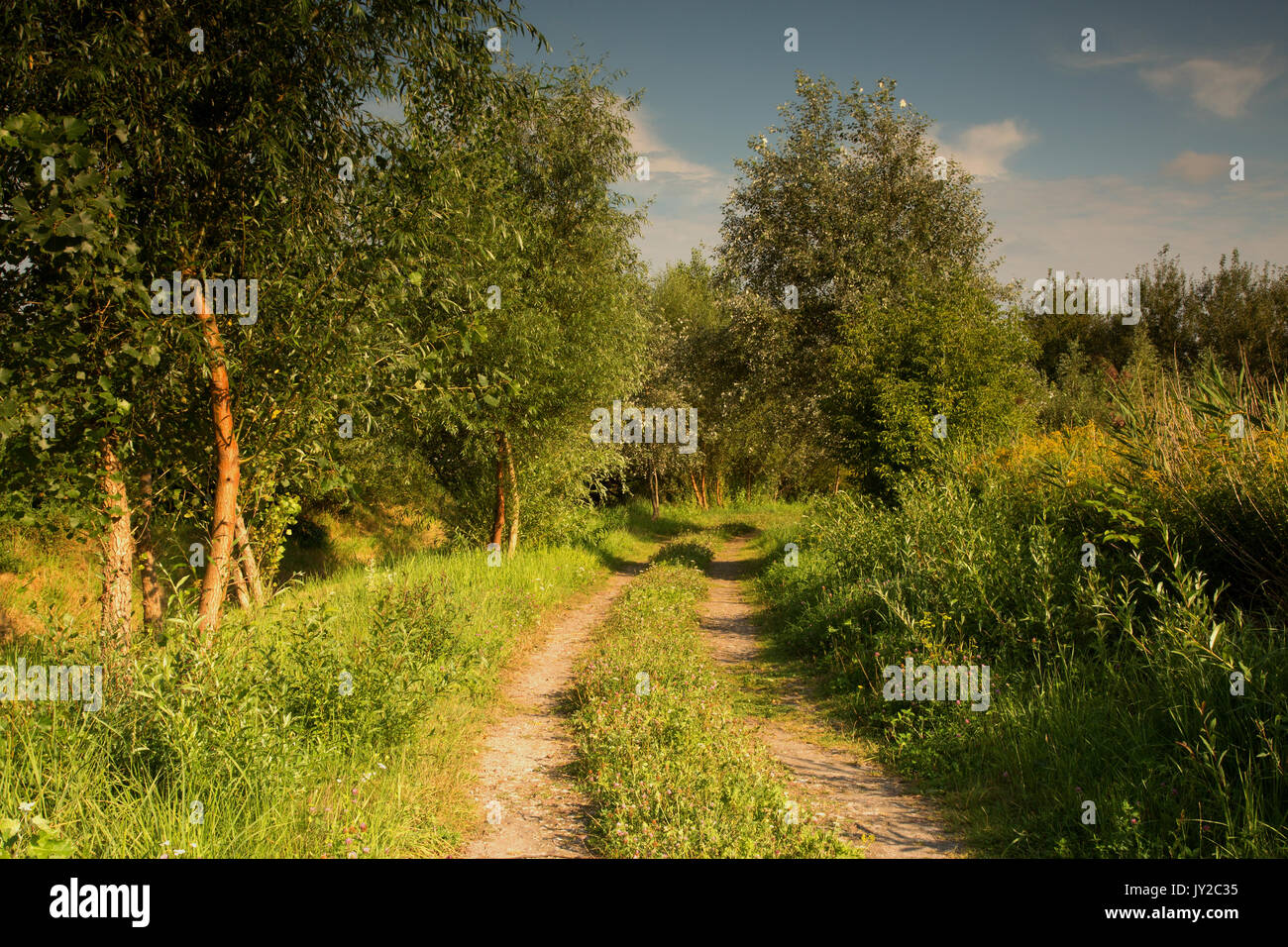 Horizontal landscapes scenery view hi-res stock photography and images ...