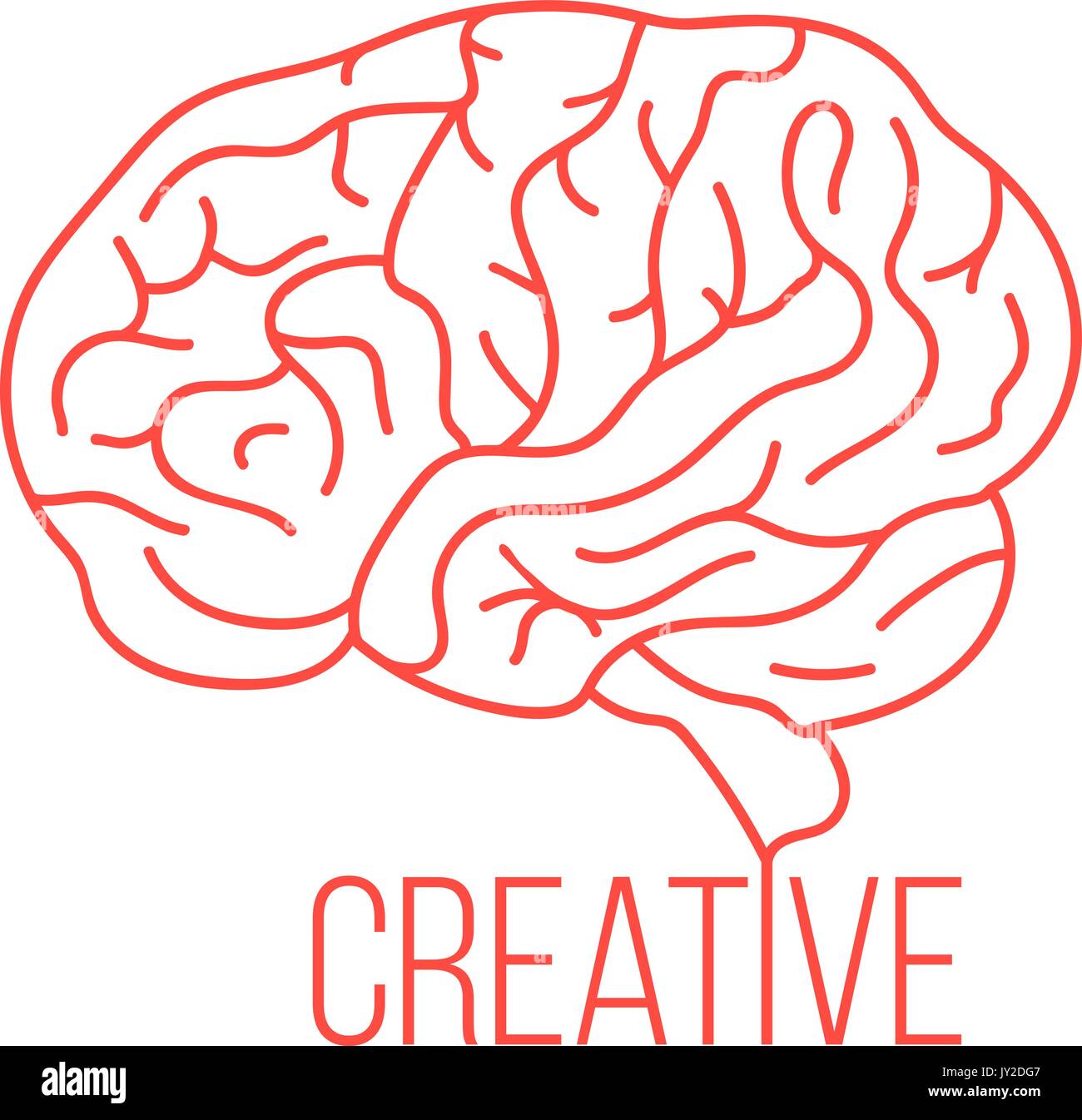 red brain like creative ideas Stock Vector Image & Art - Alamy