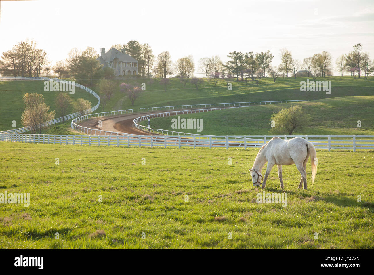 Sunset at a horse farm in the bluegrass region of Kentucky Stock Photo ...