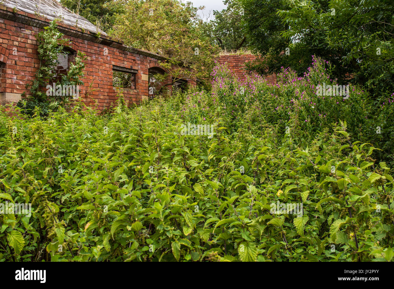 Keyham hi-res stock photography and images - Alamy