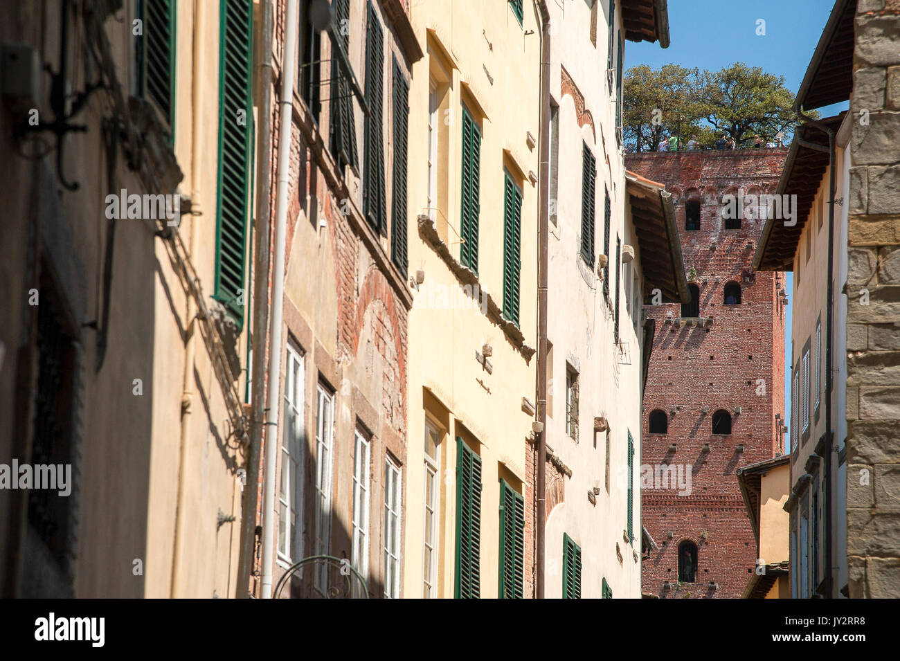 Gothic Torre Guinigi (Guinigi Tower) with oaks in Lucca, Tuscany, Italy ...