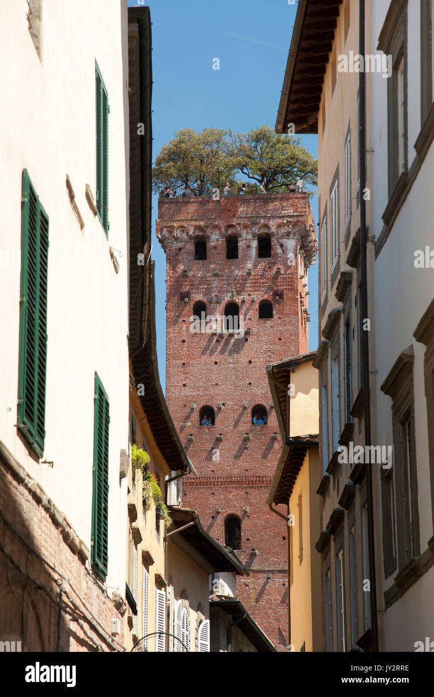 Gothic Torre Guinigi (Guinigi Tower) with oaks in Lucca, Tuscany, Italy ...