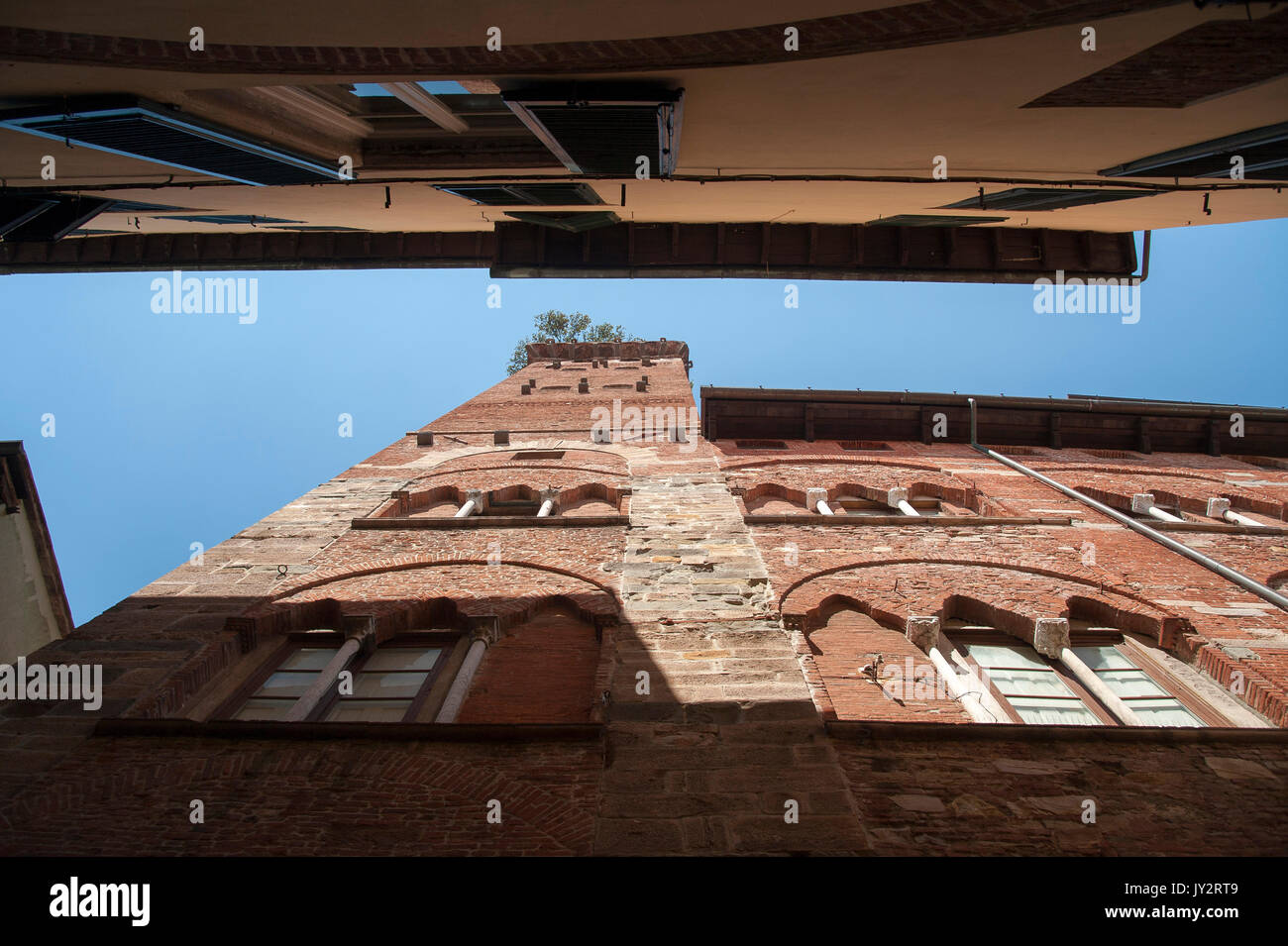 Gothic Torre Guinigi (Guinigi Tower) with oaks in Lucca, Tuscany, Italy ...