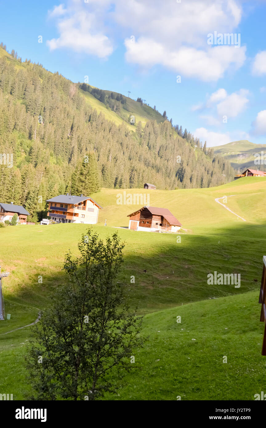 View of a valley and green hills in the Austrian Tyrol Stock Photo - Alamy