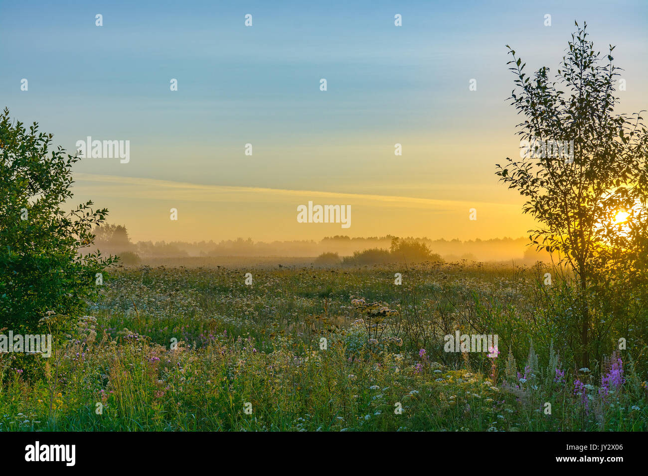 Summer dawn in the countryside Stock Photo - Alamy