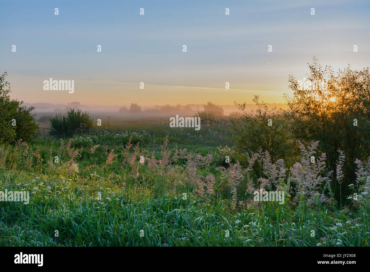 Summer dawn in the countryside Stock Photo - Alamy