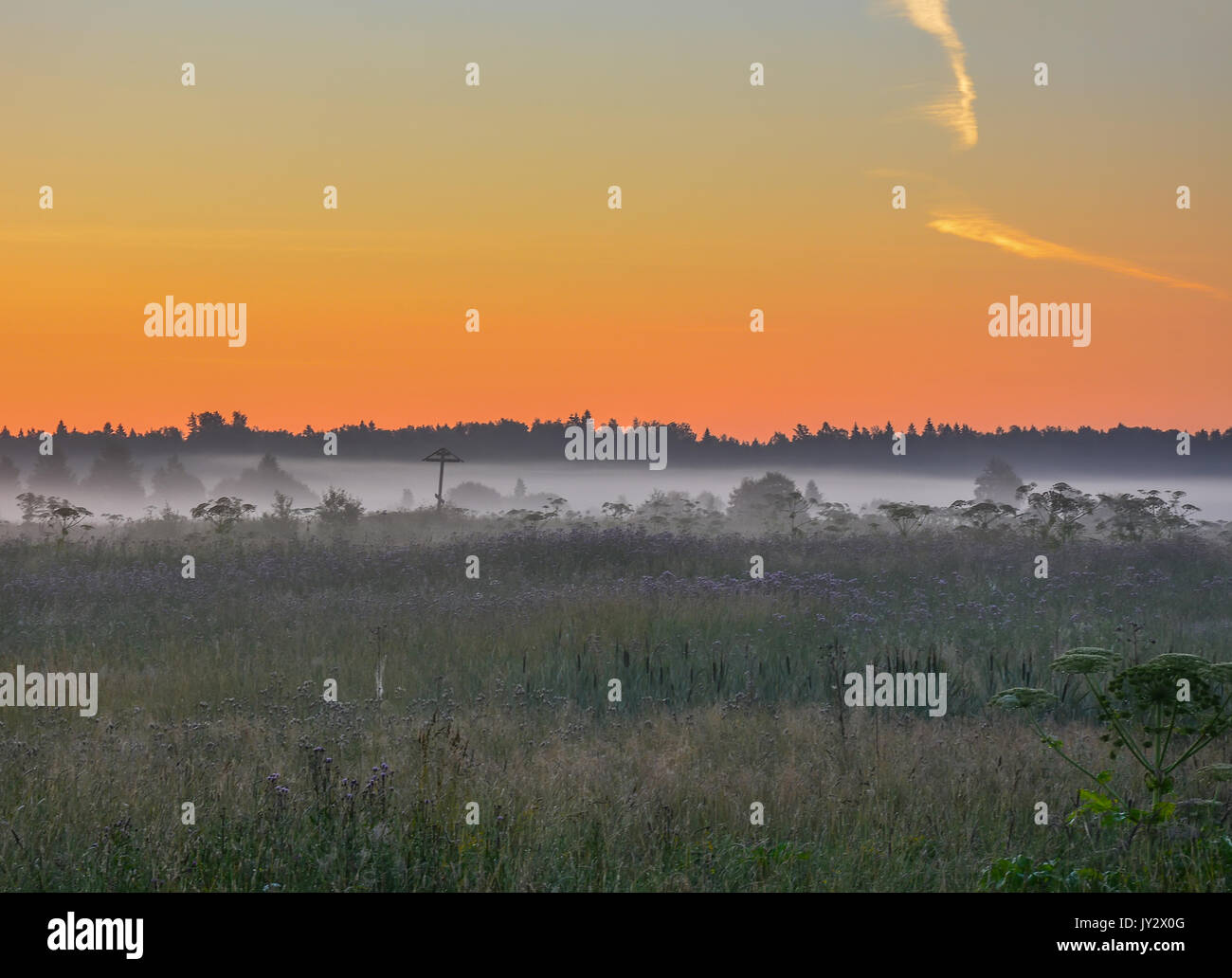 Summer dawn in the countryside Stock Photo - Alamy