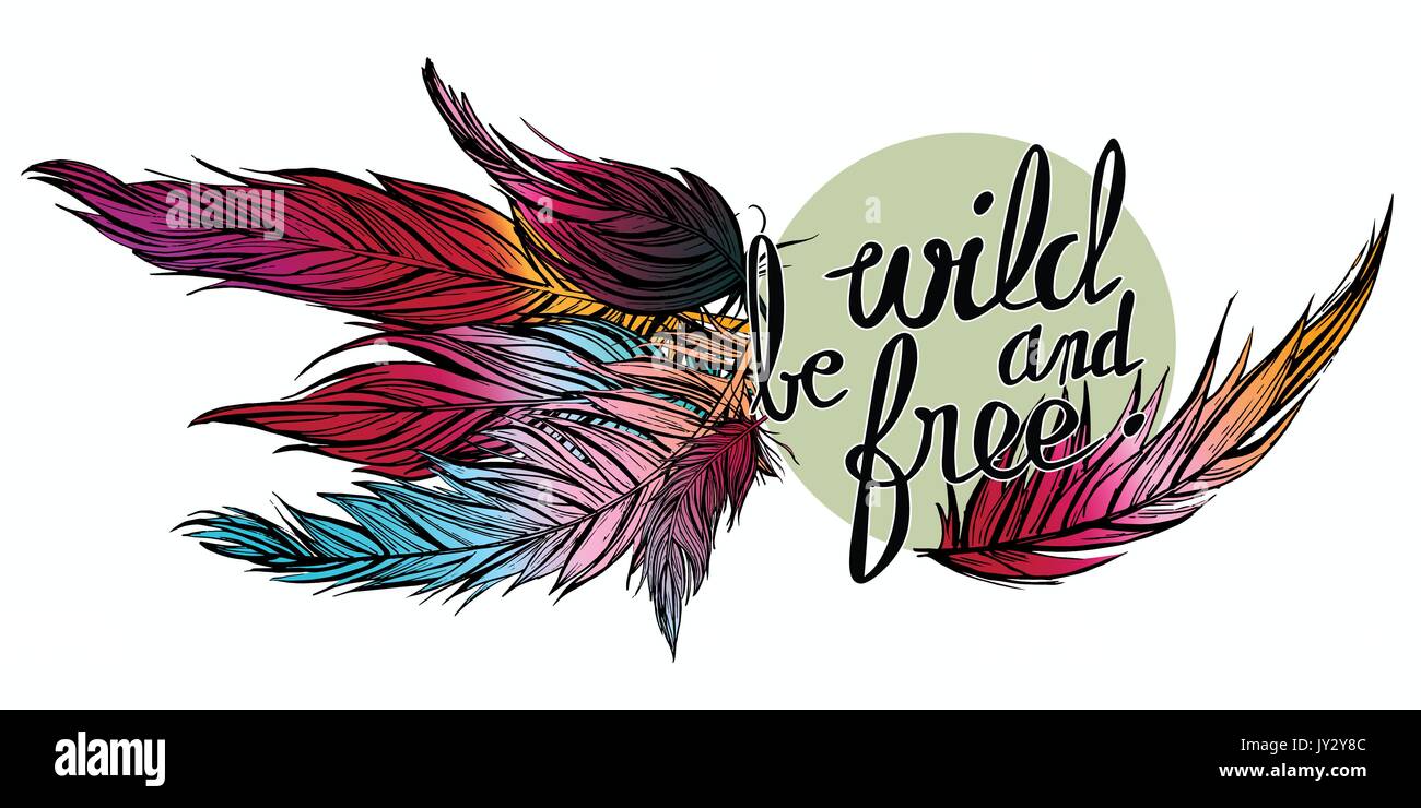 vector illustration of hand drawn colorful feathers with quote be wild ...