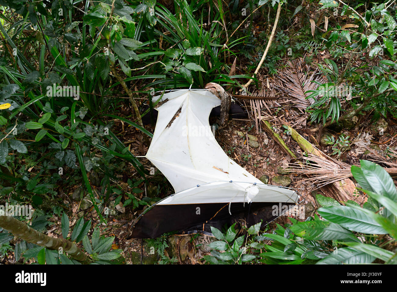 Biodiversity discovery hi-res stock photography and images - Alamy