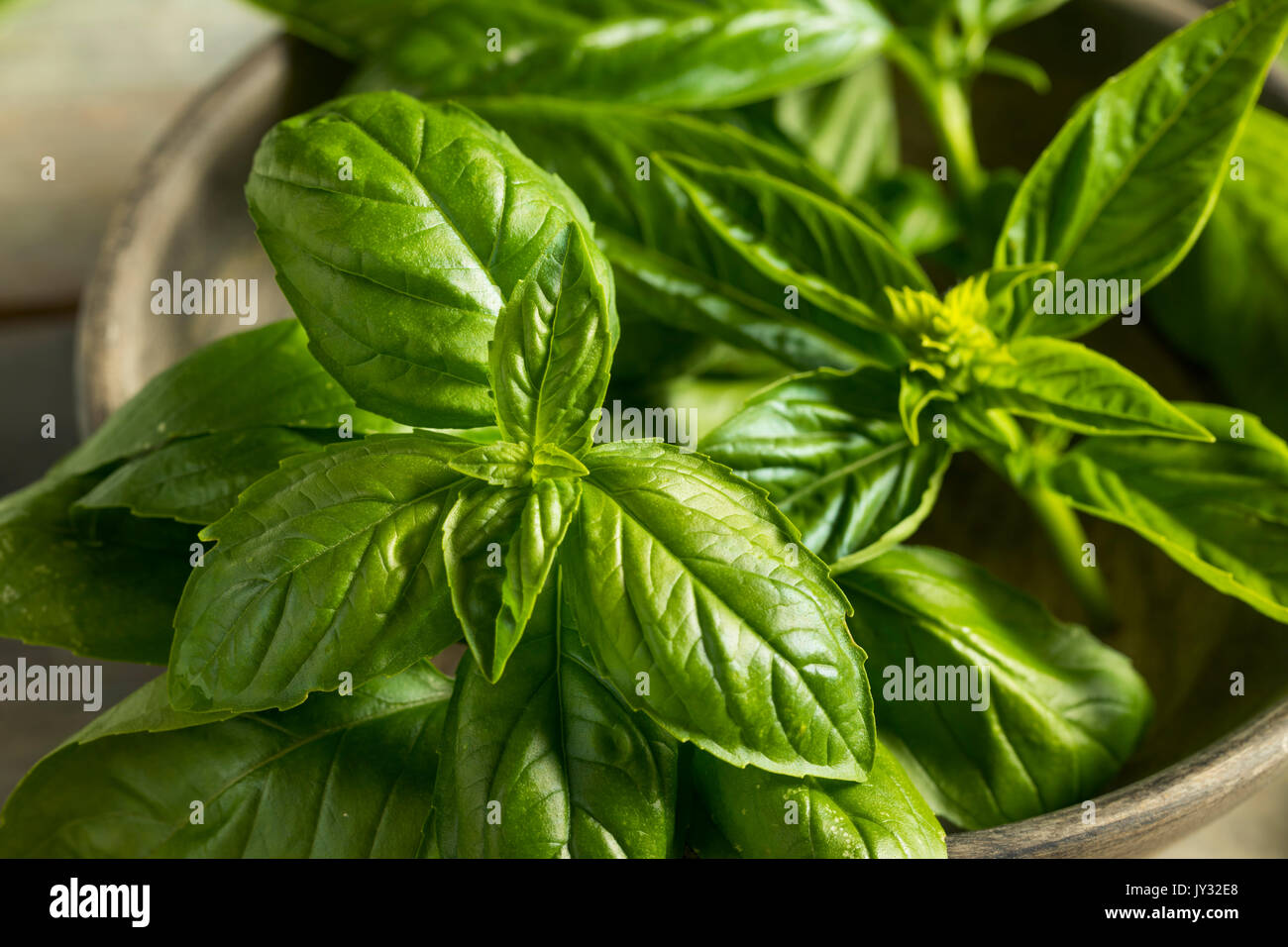 Raw Green Organic Basil Leaves Ready for Cooking Stock Photo - Alamy