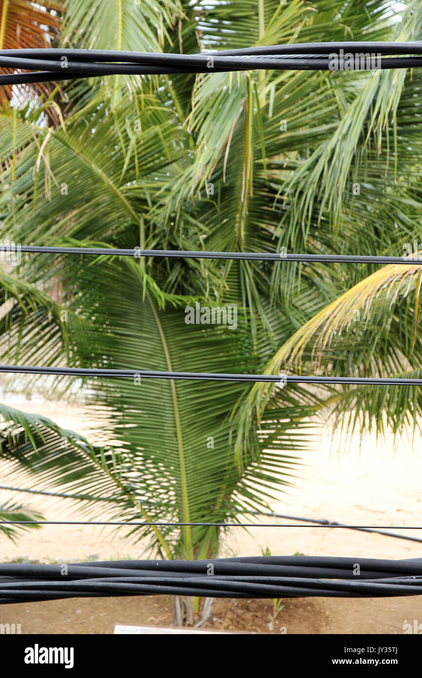 Routing cables hi-res stock photography and images - Alamy