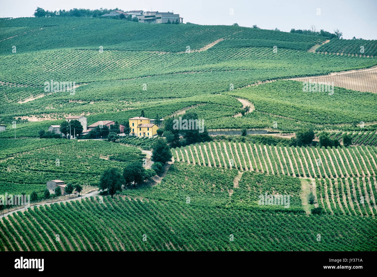 Rural landscape at summertime along the road from Vicobarone (Piacenza ...