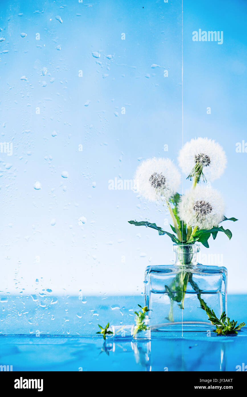 Light rain and summer hi-res stock photography and images - Alamy