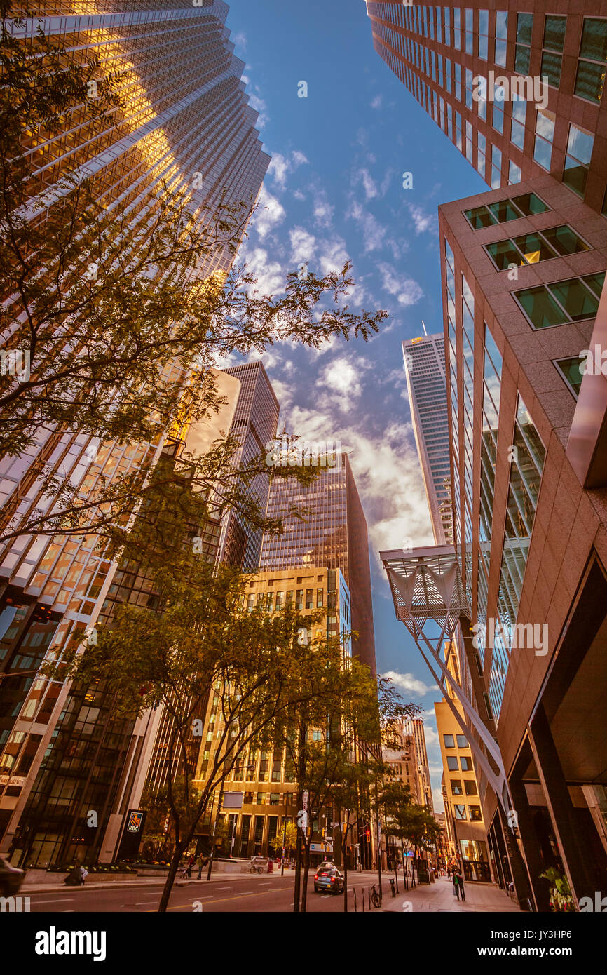 Converging tall buildings, Toronto, Canada Stock Photo - Alamy