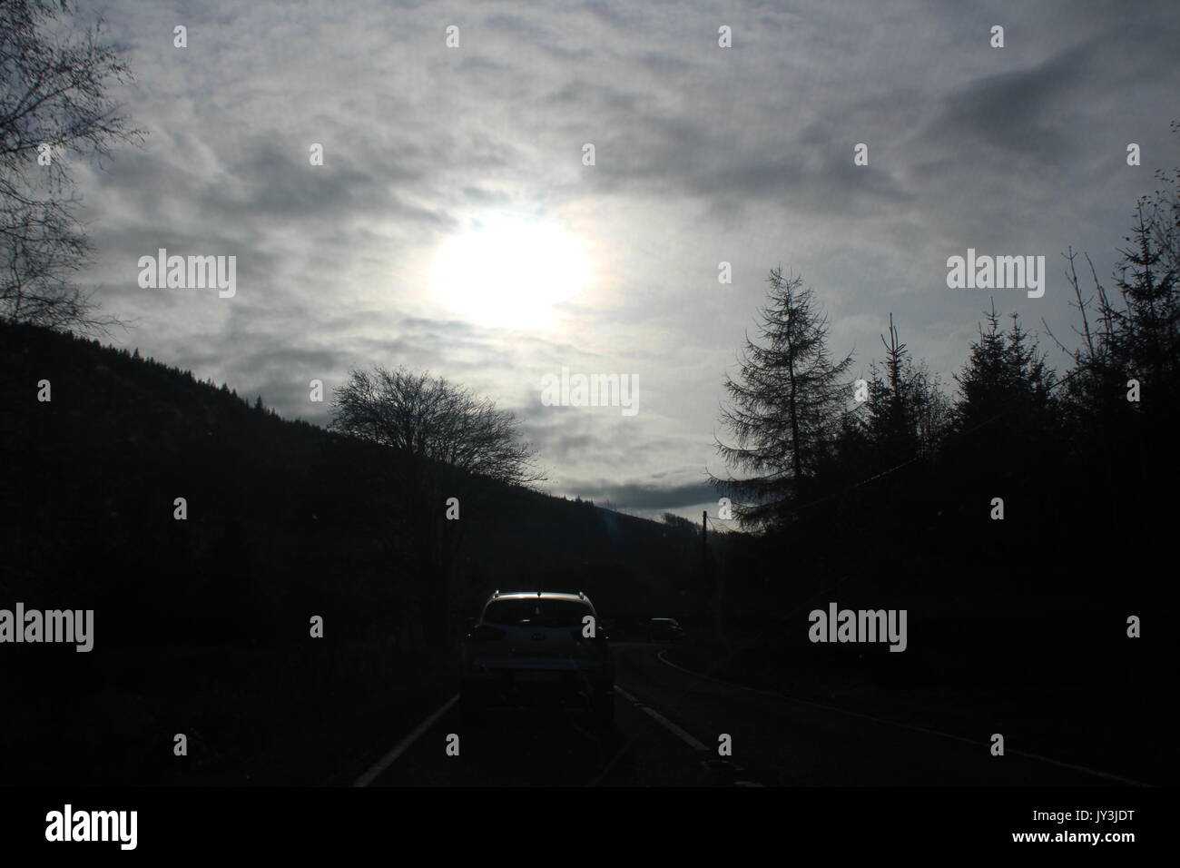 Cars driving along tree hi-res stock photography and images - Alamy