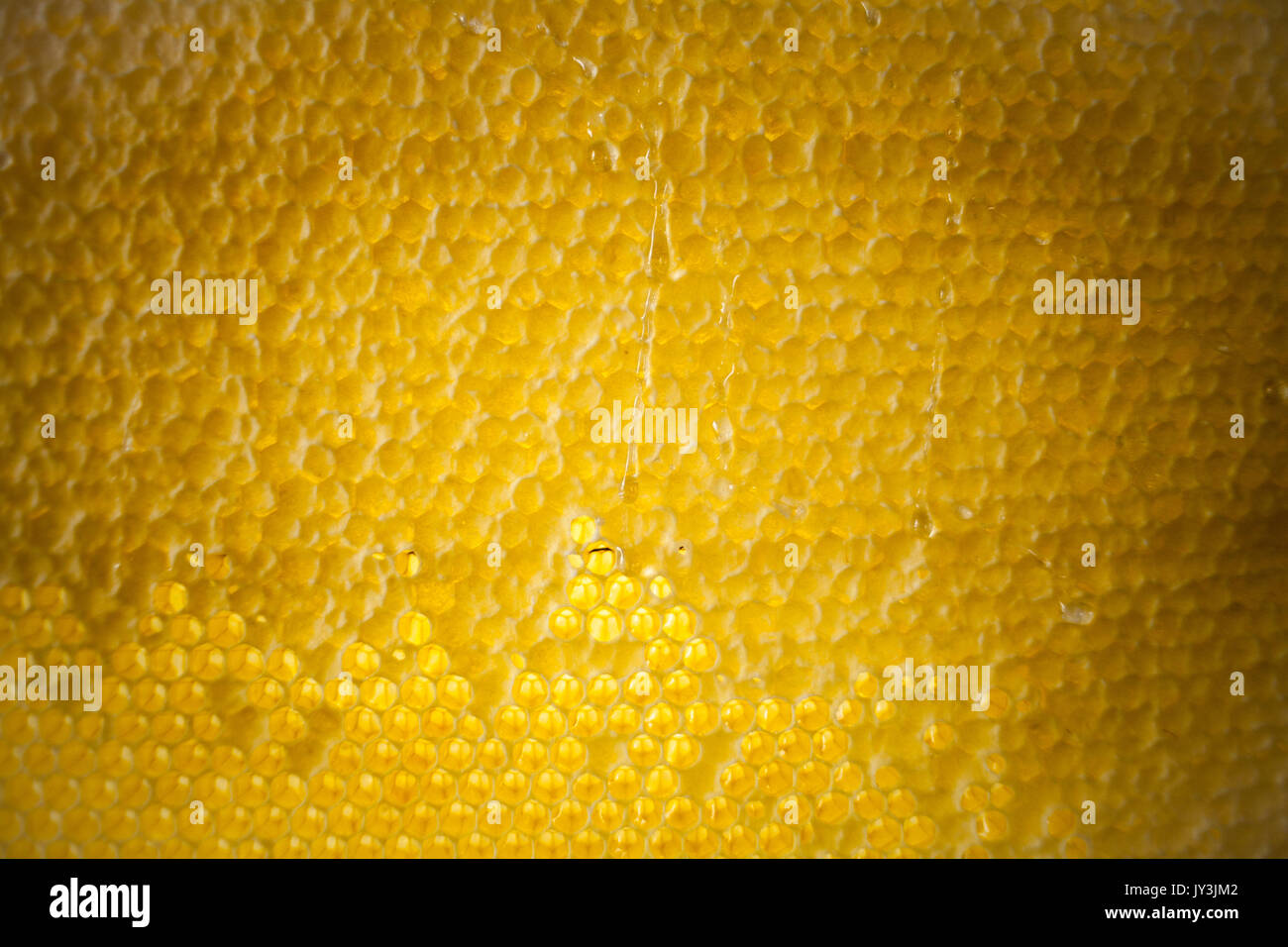 honey comb background or texture Stock Photo - Alamy