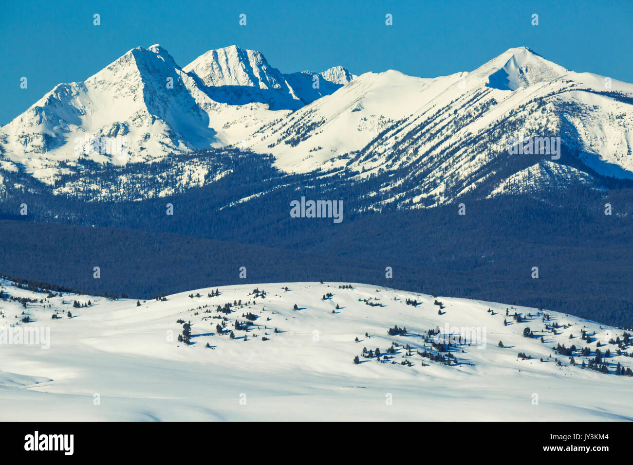 beaverhead mountains and foothills in winter near jackson, montana ...