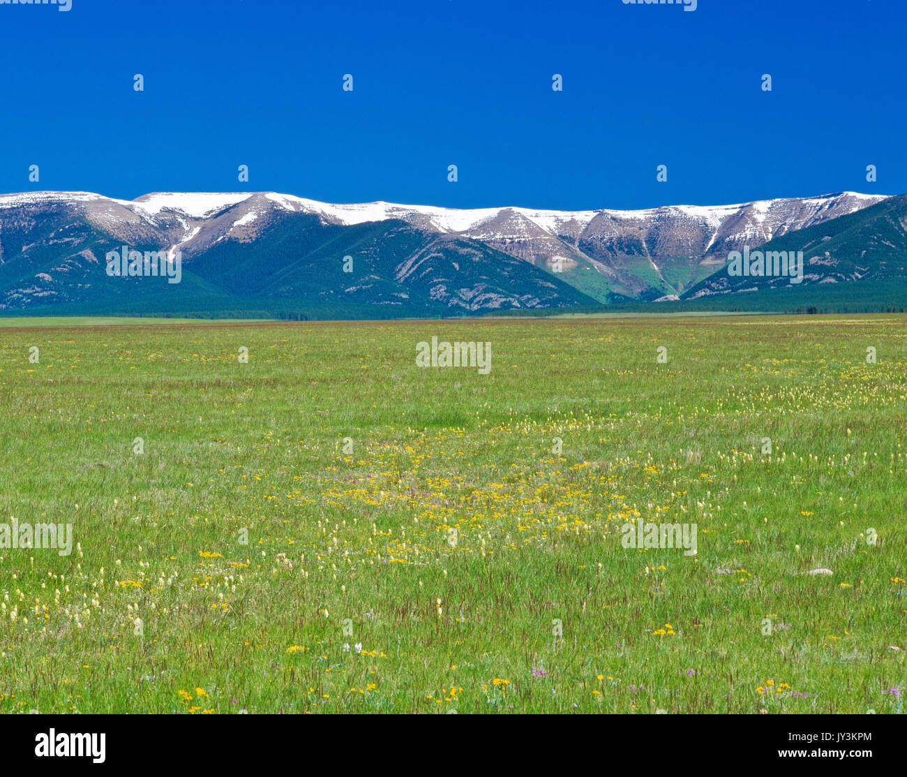 Judith mountains hi-res stock photography and images - Alamy