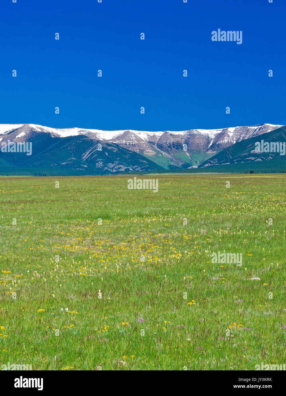 Judith mountains hi-res stock photography and images - Alamy