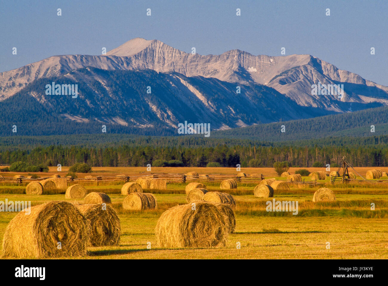 hay bales in the upper big hole valley below the beaverhead mountains ...