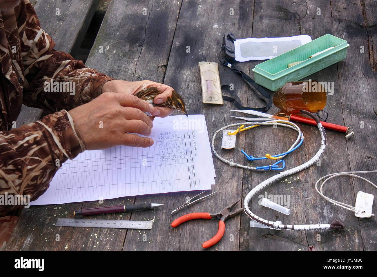 Russia , Murmansk - September 18, 2016: Field scientific research ...