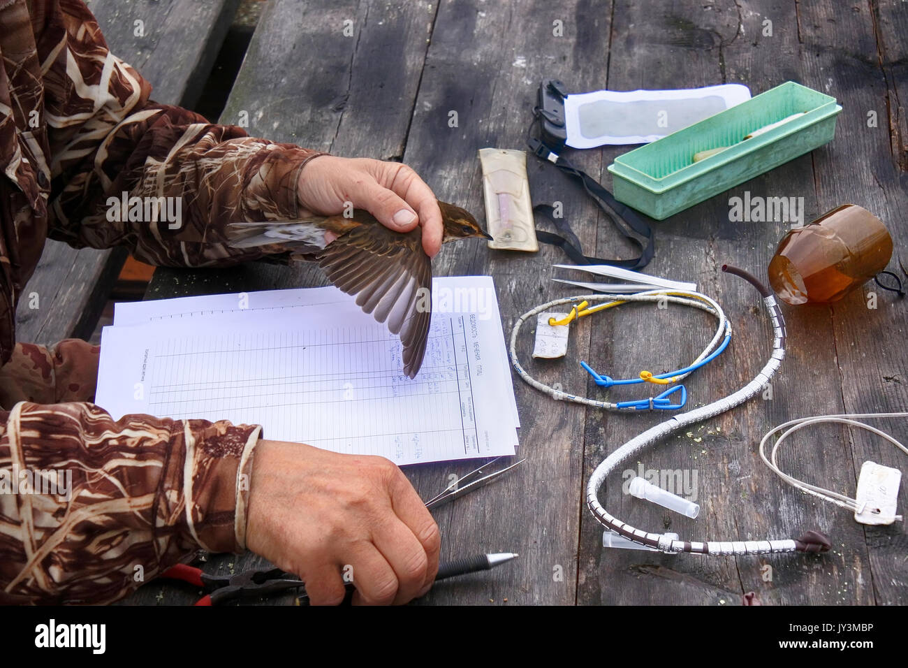 Research methodology hi-res stock photography and images - Alamy