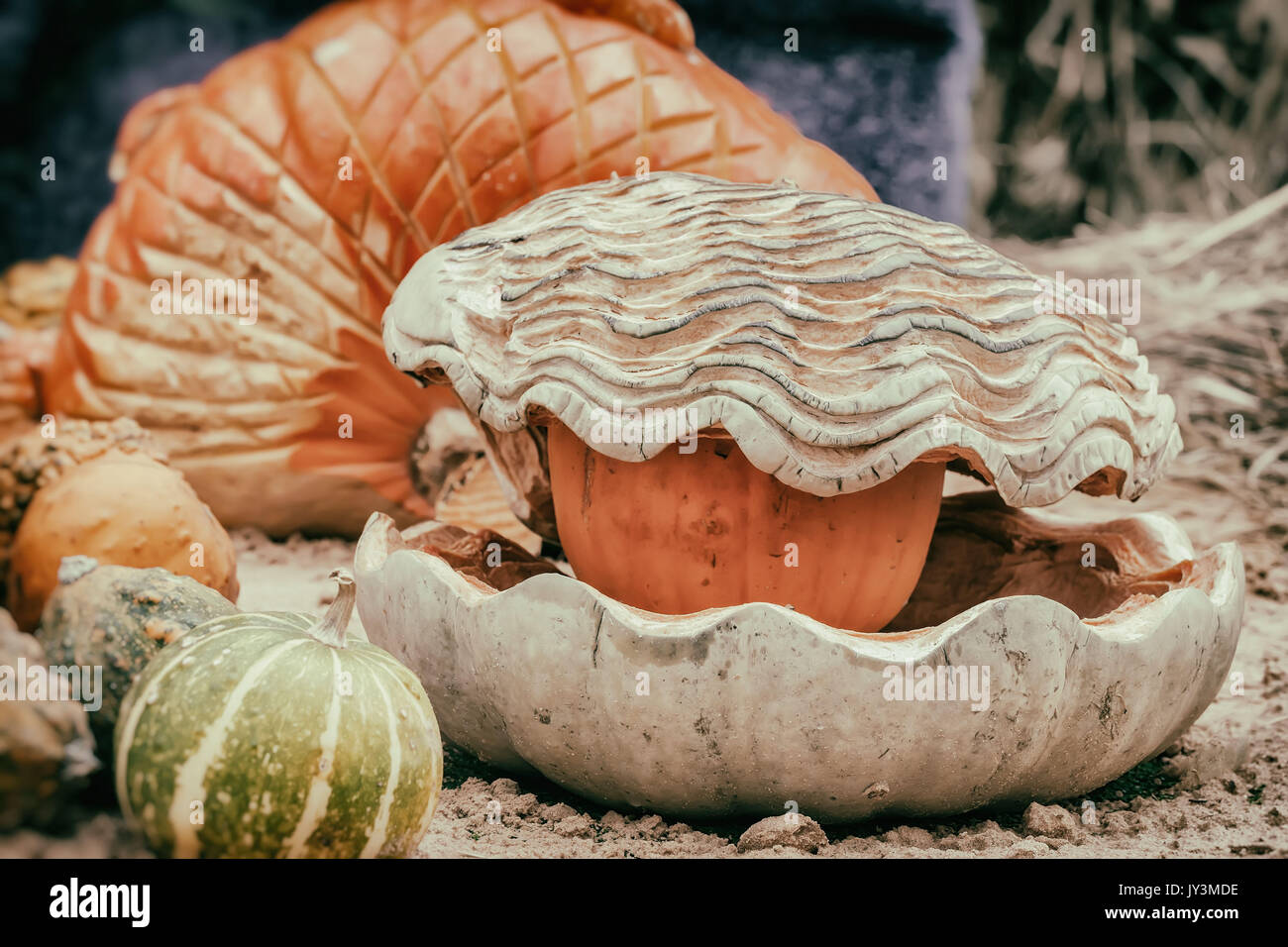 Thanksgiving Day and Halloween decoration. Carving from pumpkin ...