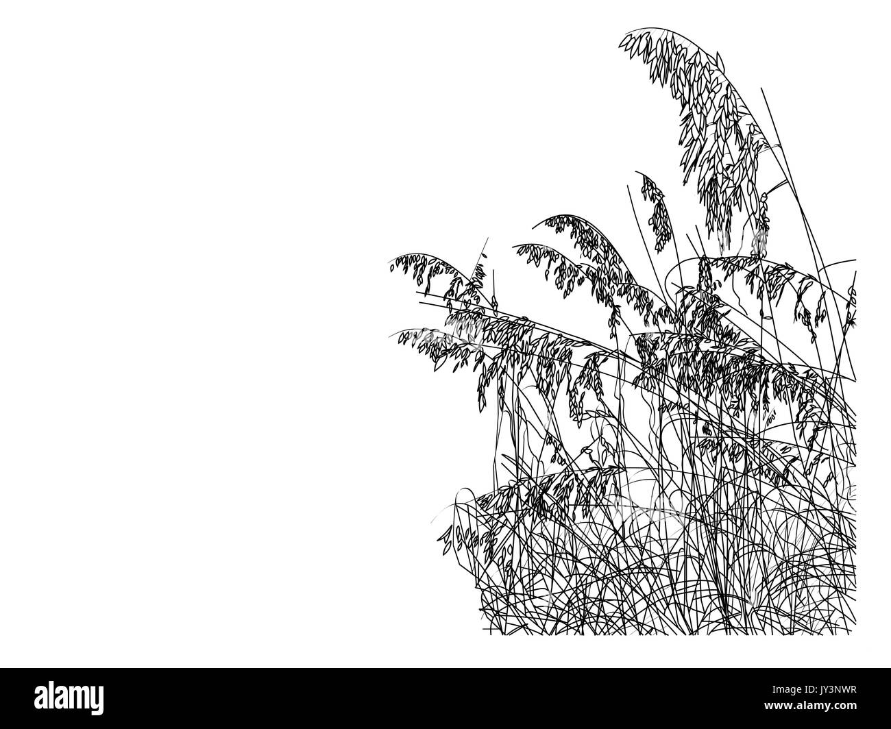 Dunes sea beach Cut Out Stock Images & Pictures - Alamy