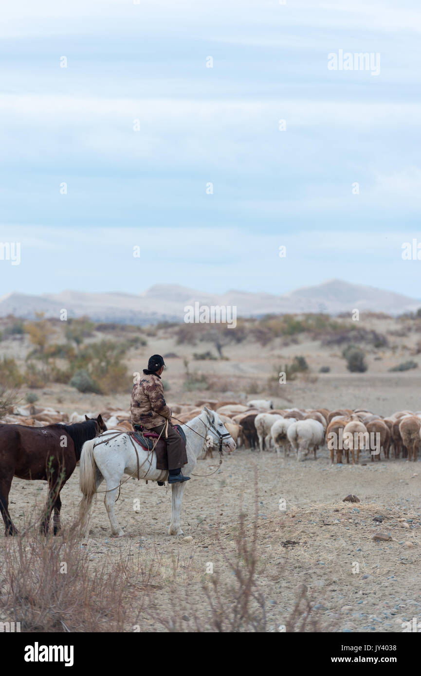 Shepherd feeding sheep hi-res stock photography and images - Alamy