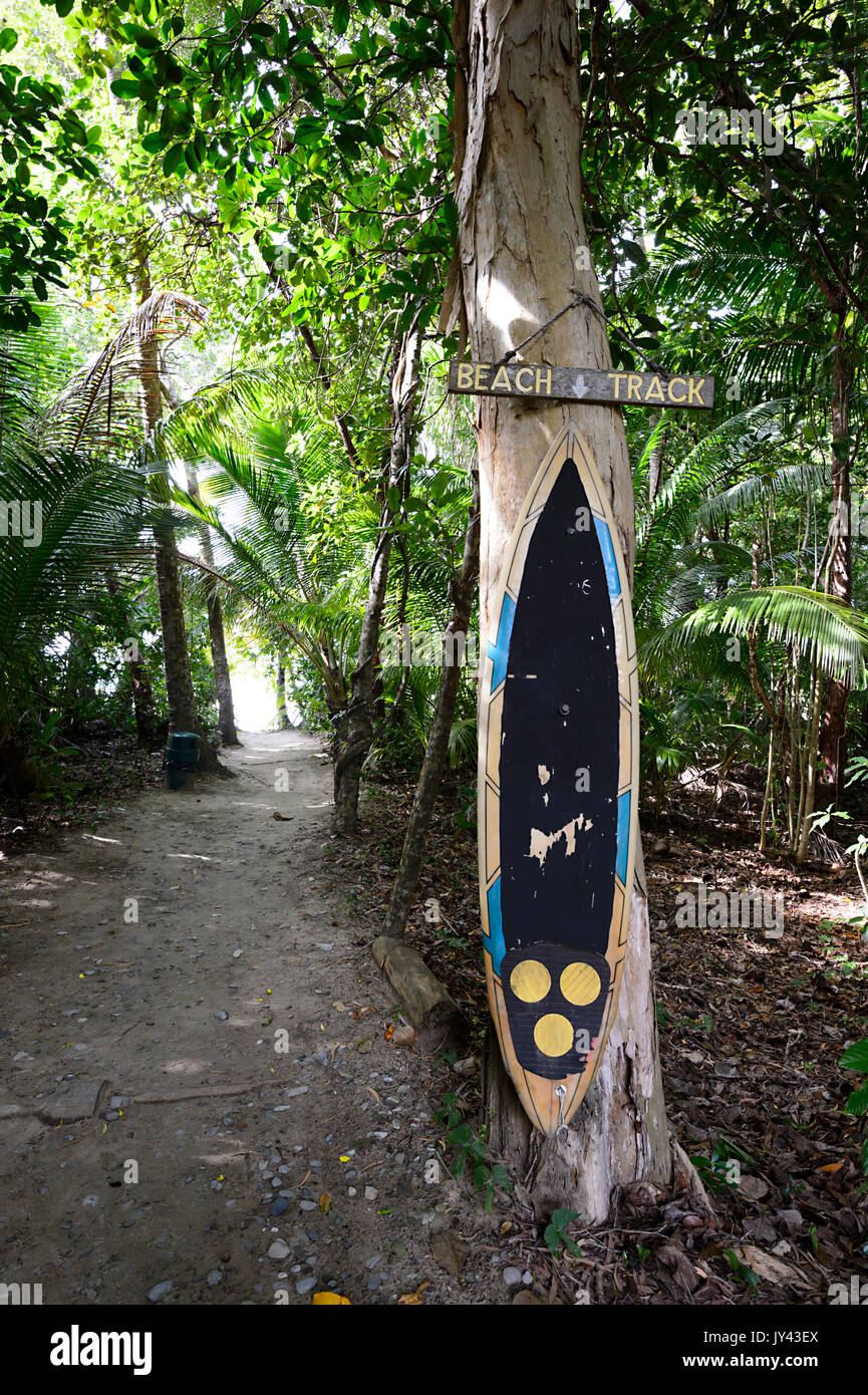 Path access to Myall Beach, Cape Tribulation, Daintree National Park ...