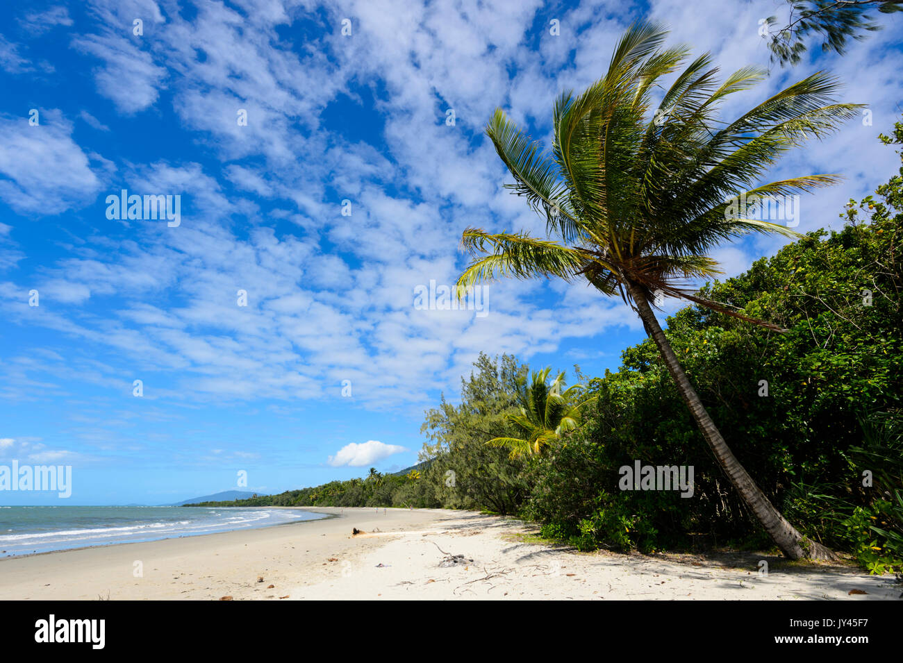 Myall Beach, Cape Tribulation, Daintree National Park, Far North ...