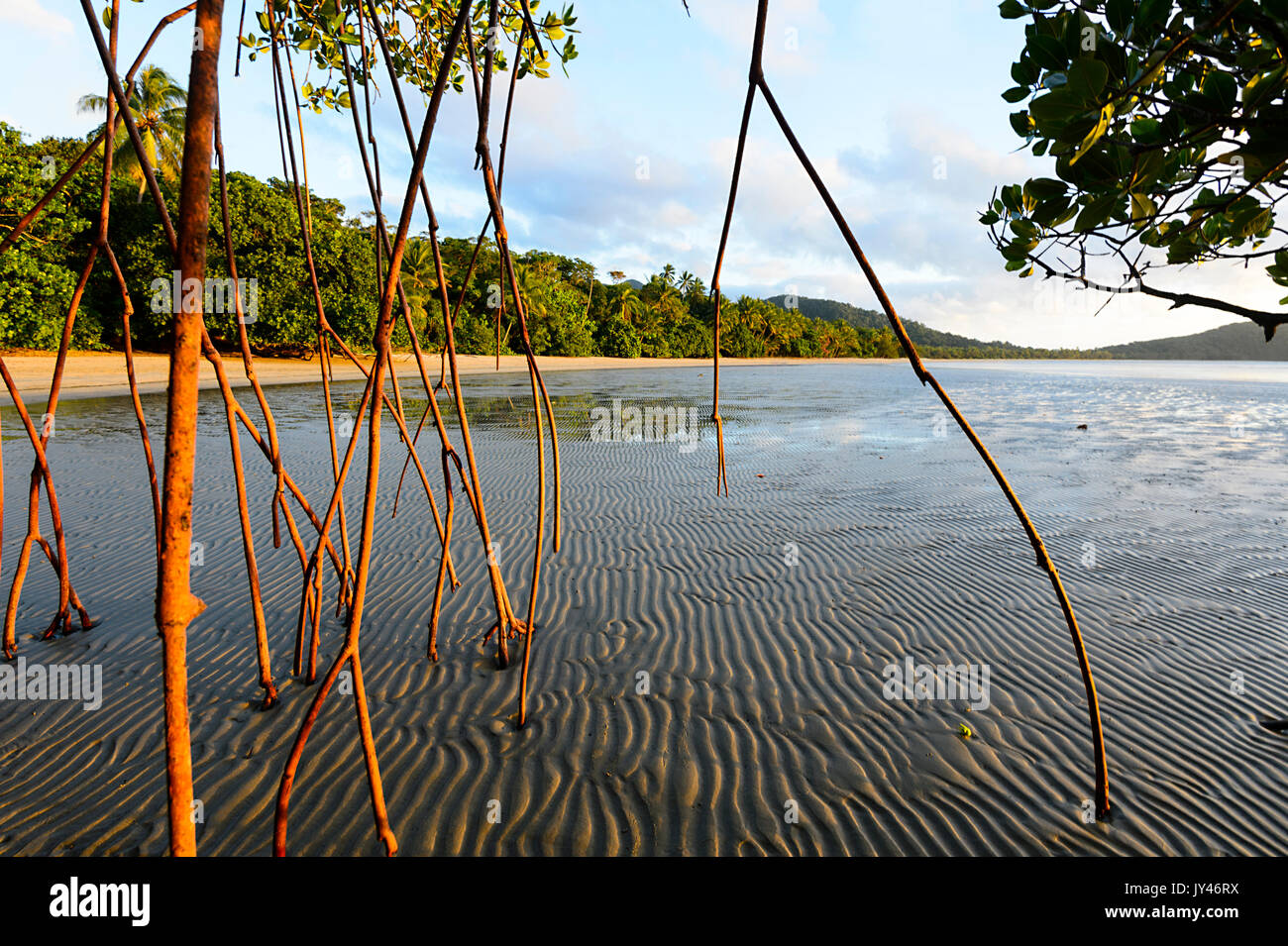 Mangroves queensland aerial hi-res stock photography and images - Alamy