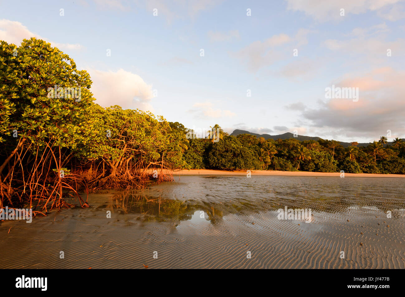 Myall beach daintree national park hi-res stock photography and images ...