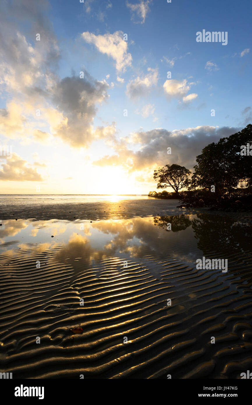Myall Beach at sunrise, Cape Tribulation, Daintree National Park, Far ...