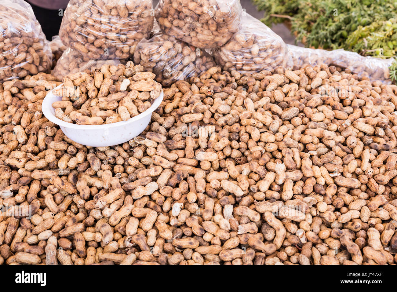 A huge pile of peanuts in their shells. Ready to be bagged and bought ...