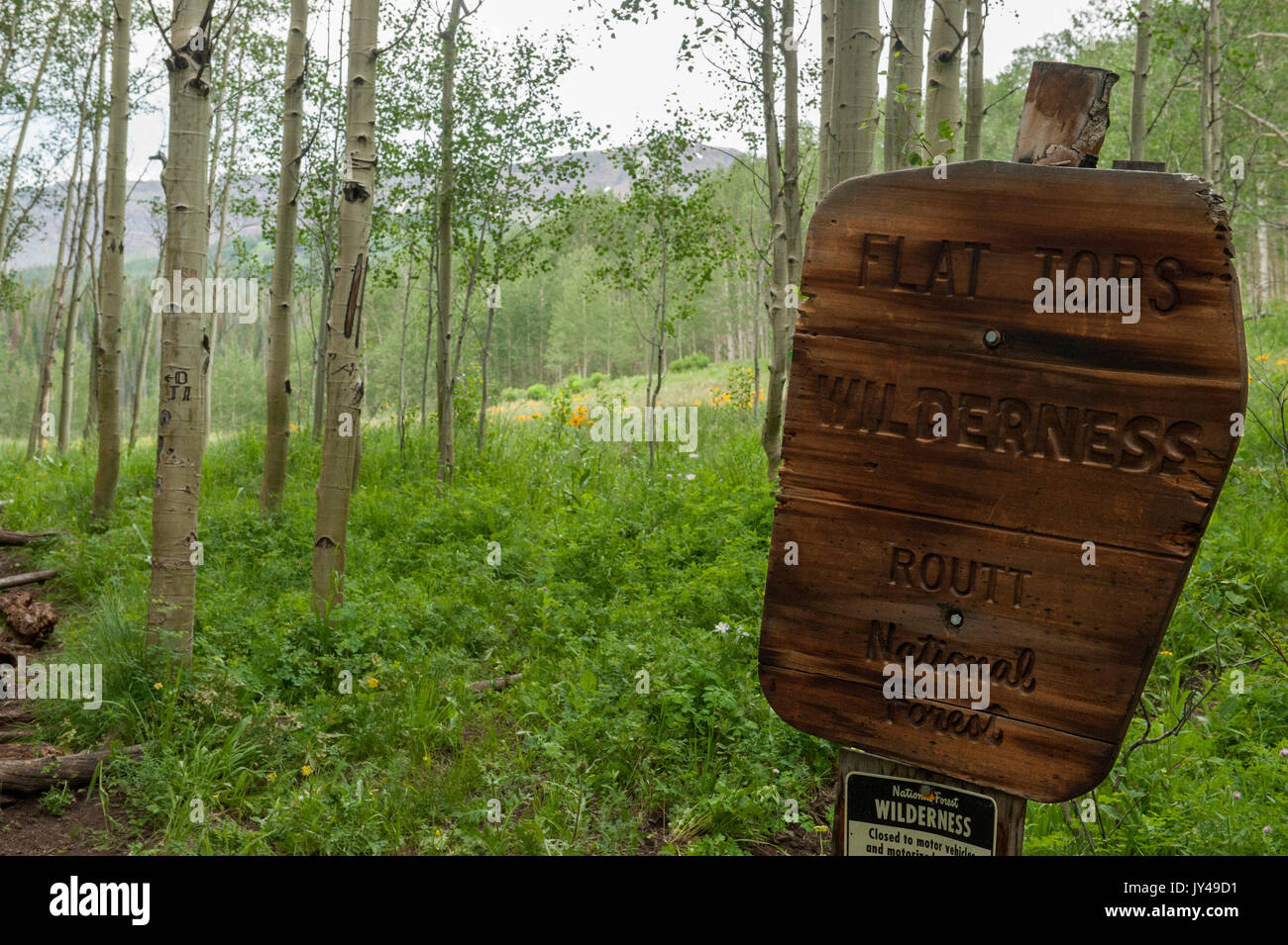 Sign marking the Wilderness boundary of the Flat Tops Wilderness in ...