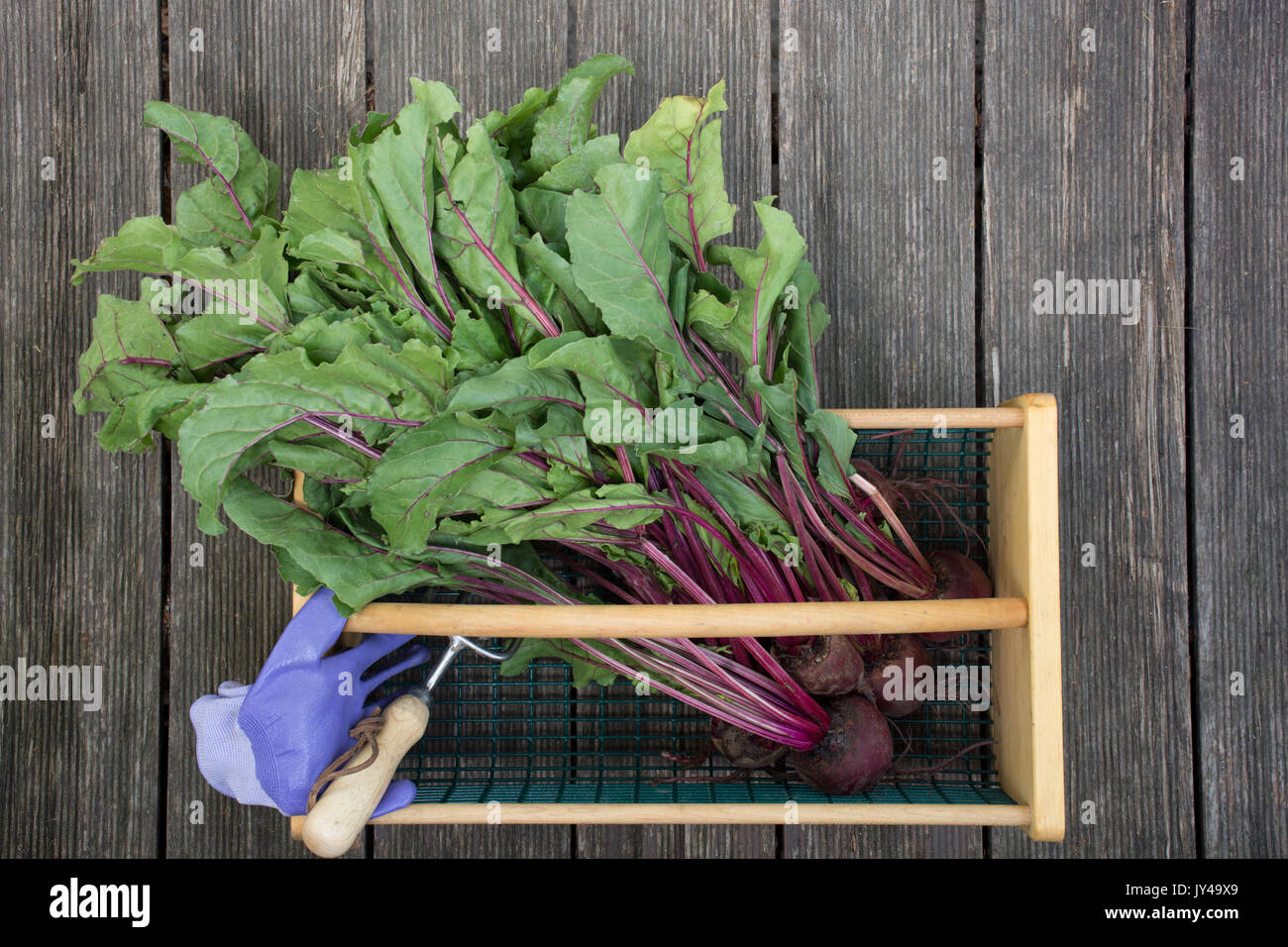 Hod tool hi-res stock photography and images - Alamy