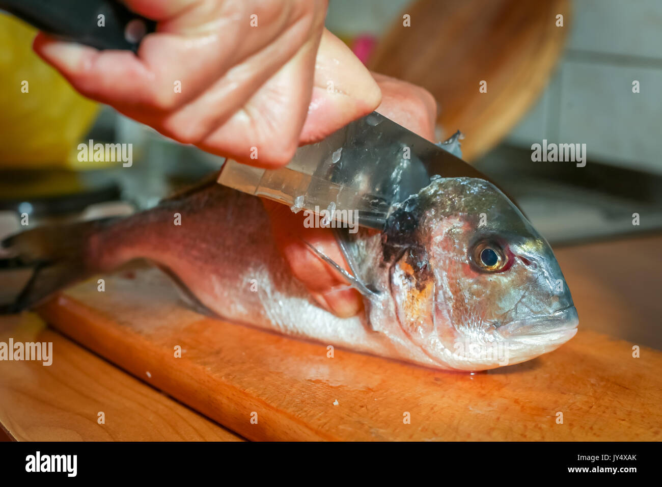 Detail of preparing bream fish on chopping board Stock Photo - Alamy