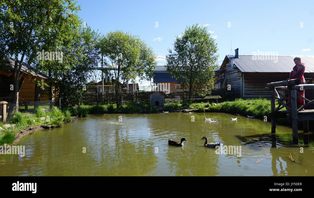 Russia Countryside home and animals Stock Photo - Alamy
