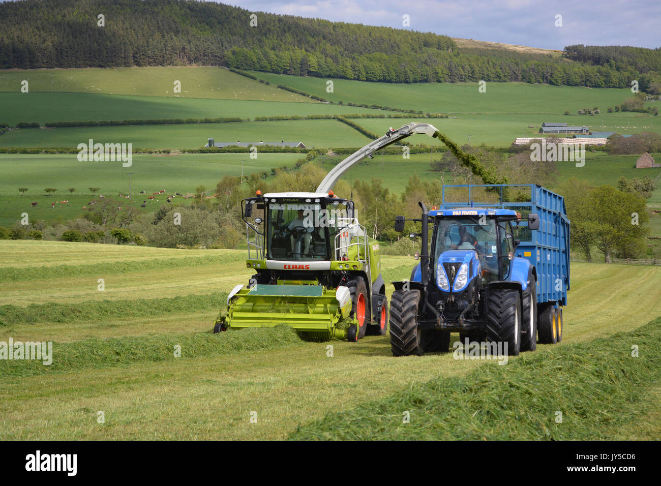 Claas Jaguar 860 Forage Harvester Stock Photo - Alamy