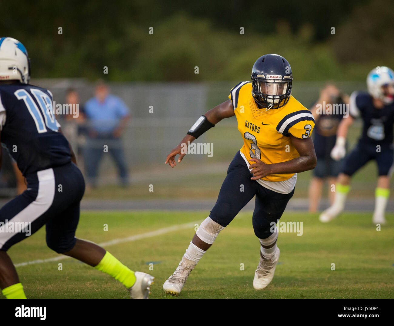 Florida, USA. 17th Aug, 2017. LOREN ELLIOTT | Times .Land O' Lakes ...